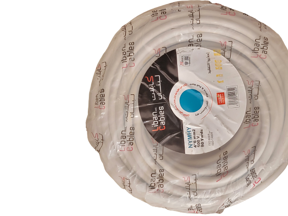 DanounTech - Buy Liban Cables NYMHY 4x6 50YD شريط مبروم ابيض online at ...